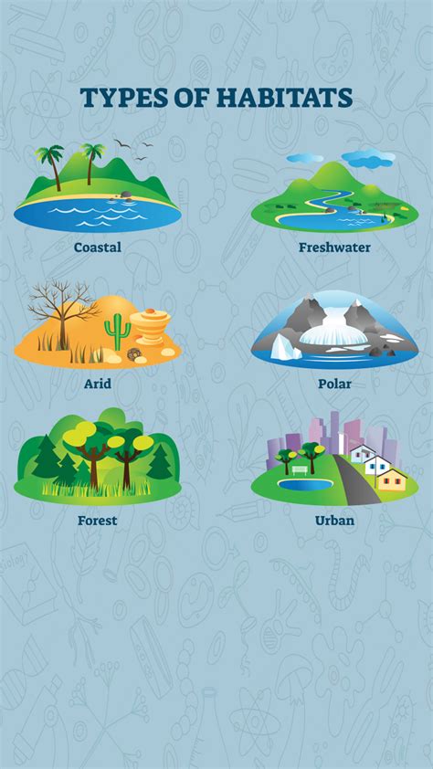 Types Of Ecosystem With Various Climate Habitats Outline 55 Off