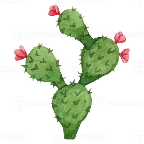 Prickly Pear Cactus Clip Art