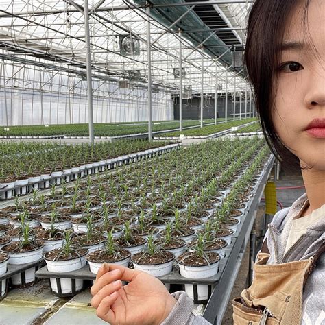 화단👩🏻‍🌾 🌹 5월의 풍성하고 화려한 카네이션의 시작과 과정은 이렇습니다 완전 작은 모종에서 뿌리를 내리면 순을 잘라