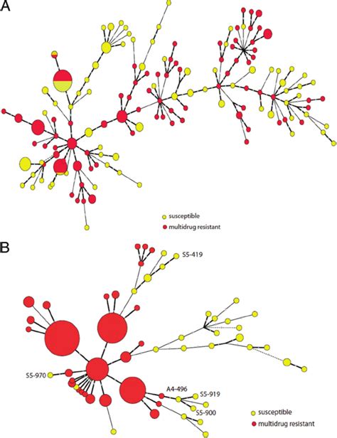 minimum spanning tree mst based on mlva data for salmonella enterica