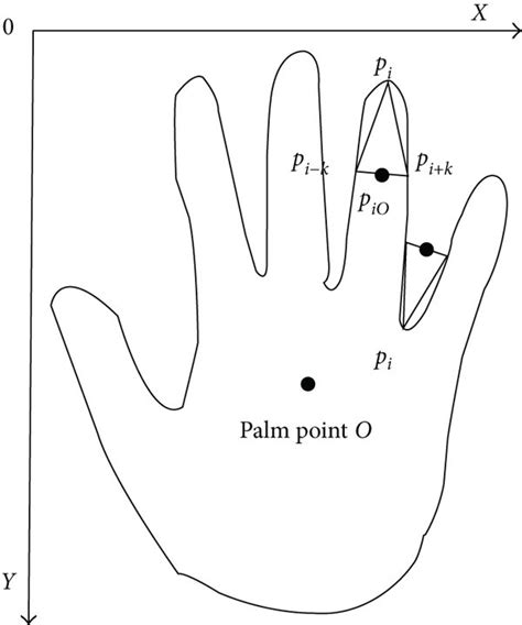 Convex Point At The Fingertips And Groove Point Download Scientific Diagram