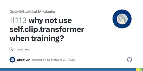 Why Not Use Self Clip Transformer When Training Issue 113
