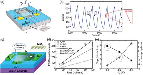 A Schematic Diagram Of Electrochemical Graphene Neuromorphic Download Scientific Diagram