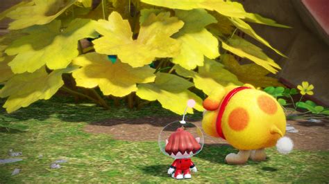 75 Best Oatchi Images On Pholder Pikmin Nintendo Switch And Bluey