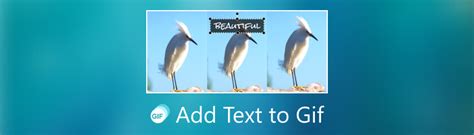 How To Add Text To GIF With Great Programs Ultimate Tutorial