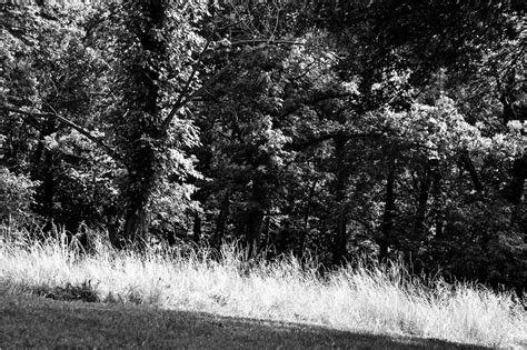 Grass Fire By Varinbyplato On Deviantart