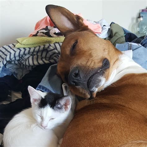 Turnip Parsnip Youtube Turnip Parsnip Youtube