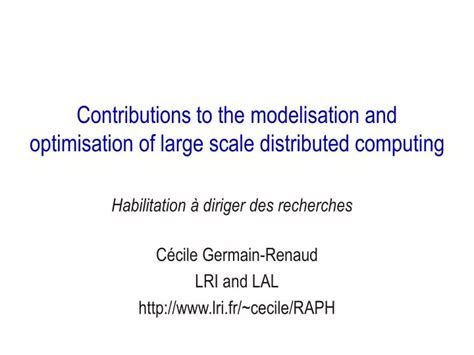 ppt contributions to the modelisation and optimisation of large scale