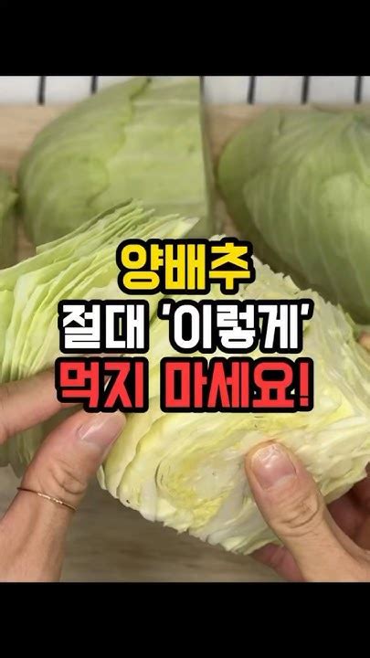 양배추는 꼭 이렇게 드세요 양배추요리 양배추다이어트 요리레시피 Youtube