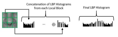 Landmark Texture Feature Extraction Download Scientific Diagram