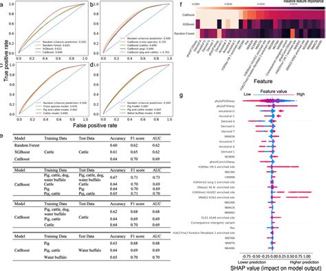 Machine Learning Models Of Orthologous Variants A Receiver Operating