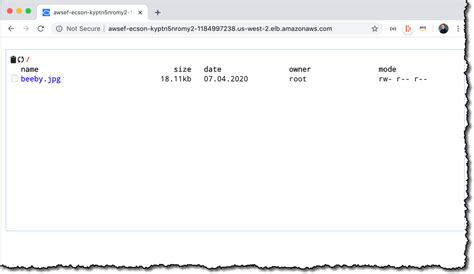 Amazon Elastic Container Service 现在支持 Amazon Efs 文件系统 亚马逊aws官方博客
