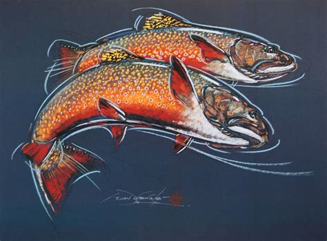 Brook Trout Drawing At Paintingvalley Com Explore Collection Of Brook