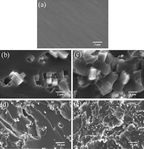Scanning Electron Micrographs Of Tensile Fracture Surface Of A Pure