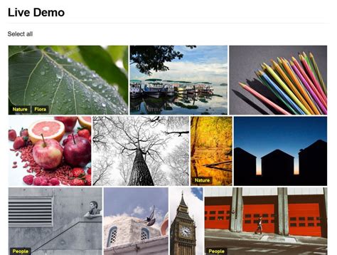 6 Best Nextjs Grid Examples You Can Add To Your Site Hubpages