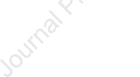 The Pipeline For Constructing An Lcmv Beamformer For Meg Eeg Source Download Scientific Diagram