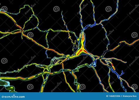 Dopaminergic Neuron Illustration Stock Illustration Illustration Of Concept Macro 146823306
