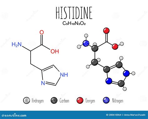 Histidine Amino Acid Representation Stock Illustration Illustration