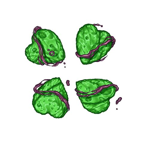 Тот самый 4ch