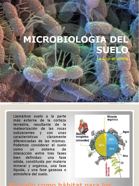 Microbiologia Del Suelo Microorganismo Suelo Prueba Gratuita De