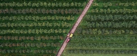 A Beginners Guide To Python For Econometrics