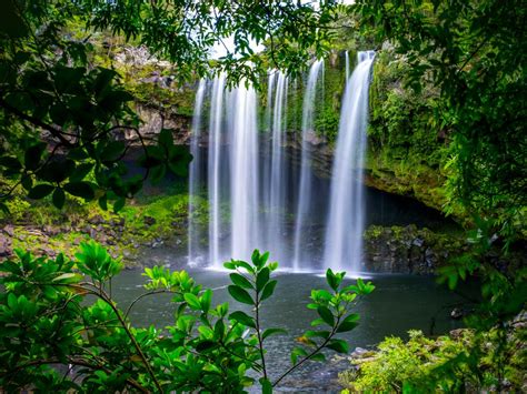 Rainbow Falls Kerikeri A Stunning Waterfall Walk And Swimming Spot