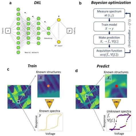 Schematic Illustration Of Active Learning With Deep Kernel Learning Download Scientific Diagram