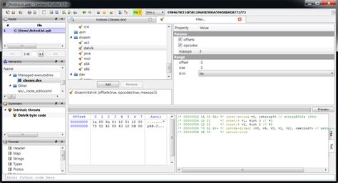 Disasm Options Filters Cerbero Blog
