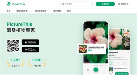 Microsoft Authenticator 整合驗證碼和密碼管理器，雲端備份換機更方便