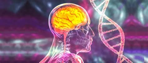 Nervous System Diseases And Disorders