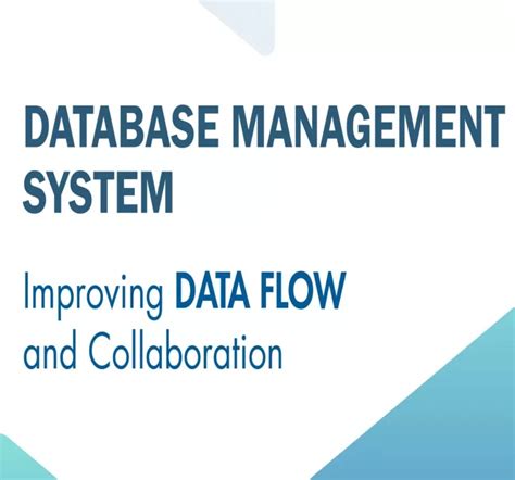 Ppt Database Management System Improving Data Flow Powerpoint