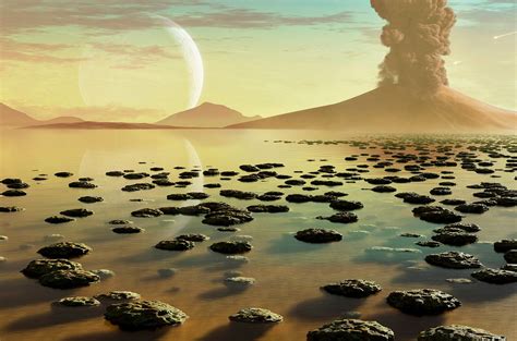 Every Living Thing On Earth Evolved From One Common Ancestor The