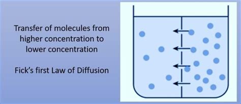 Ficks First Law Of Diffusion Calculator Molecular Diffusion Chemenggcalc