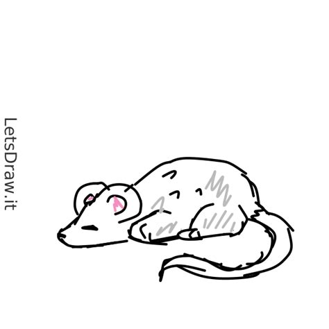 How To Draw Mouse Cumcjehet Png LetsDrawIt
