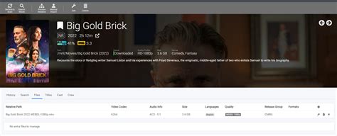 Wrong Video Codec Displayed · Issue 7170 · Radarrradarr · Github