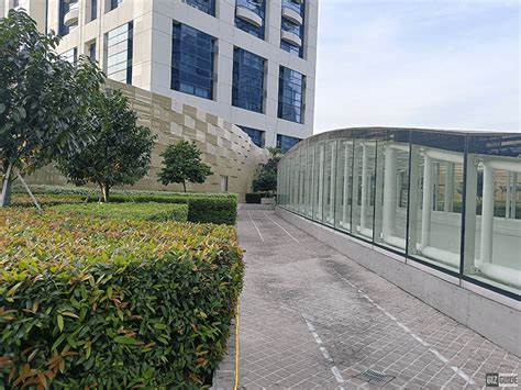 Oppo Reno T G Unboxing First Impressions Camera Samples