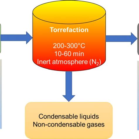 Notable Application Of Torrefaction Technology And Torrefied Biomass Download Scientific Diagram