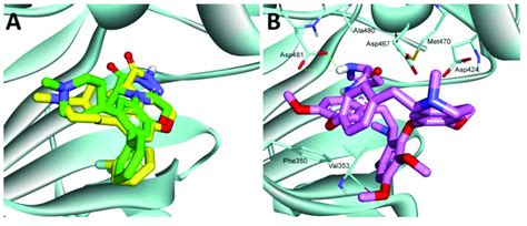 Binding Mode Analysis Of 16 A Overlay Of Co Crystallized 28 Green