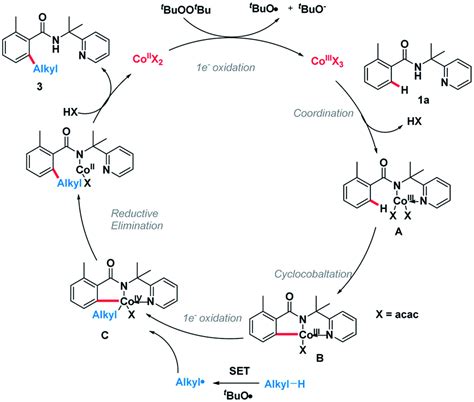 Cobalt Catalyzed C Sp 3 H C Sp 2 H Oxidative Coupling Between Alkanes And Benzamides Rsc