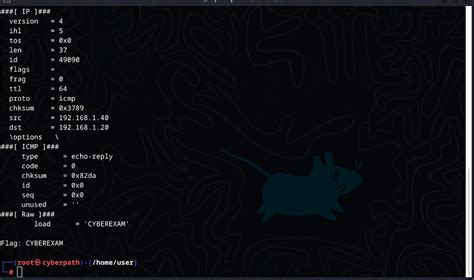 packet manipulation with scapy cyberexam contents cyberexam