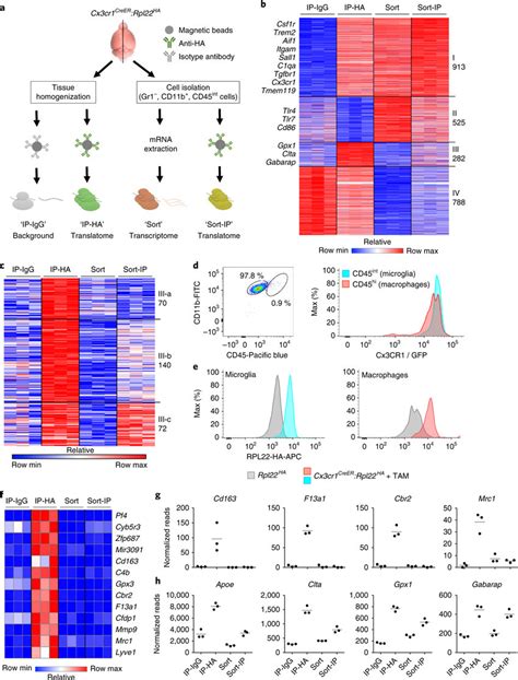 comparison of cell sorting based protocol and the ribotag method for