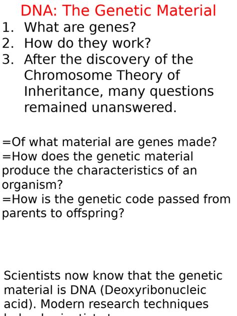 What Are Genes 2 How Do They Work 3 After The Discovery Of The Chromosome Theory Of