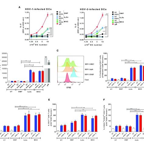 Biopsy Shows Hsv Cytopathic Effect With Hande Stain Download Scientific Diagram