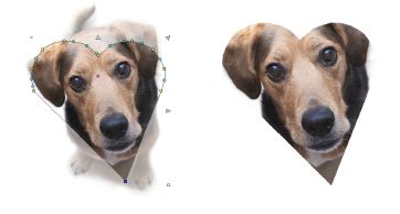 Bitmaps00067 Png