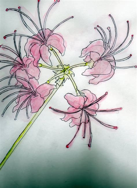 Spider Lilly By Jesus Cs On Deviantart