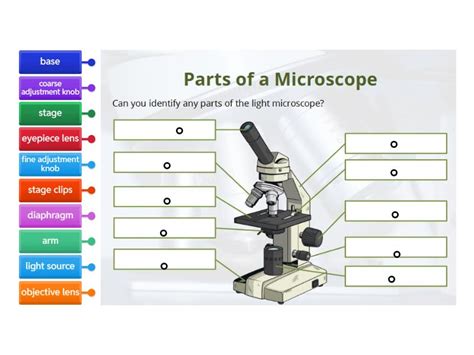 Revision Microscope Labelled Diagram