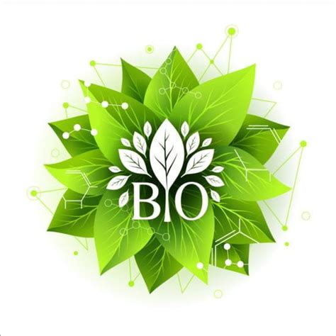 연결 라인 벡터 바이오 녹색 잎 Eps Uidownload