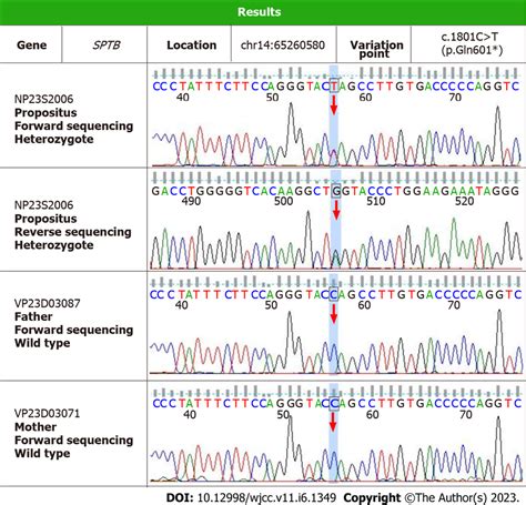 Results Of High Throughput Sequencing Of The Liver Panel Download Scientific Diagram