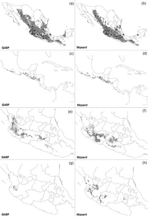 Garp And Maxent Niche Based Distribution Models For A And B O