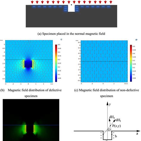The Construction Process Of The Perturbation Field Model Download Scientific Diagram